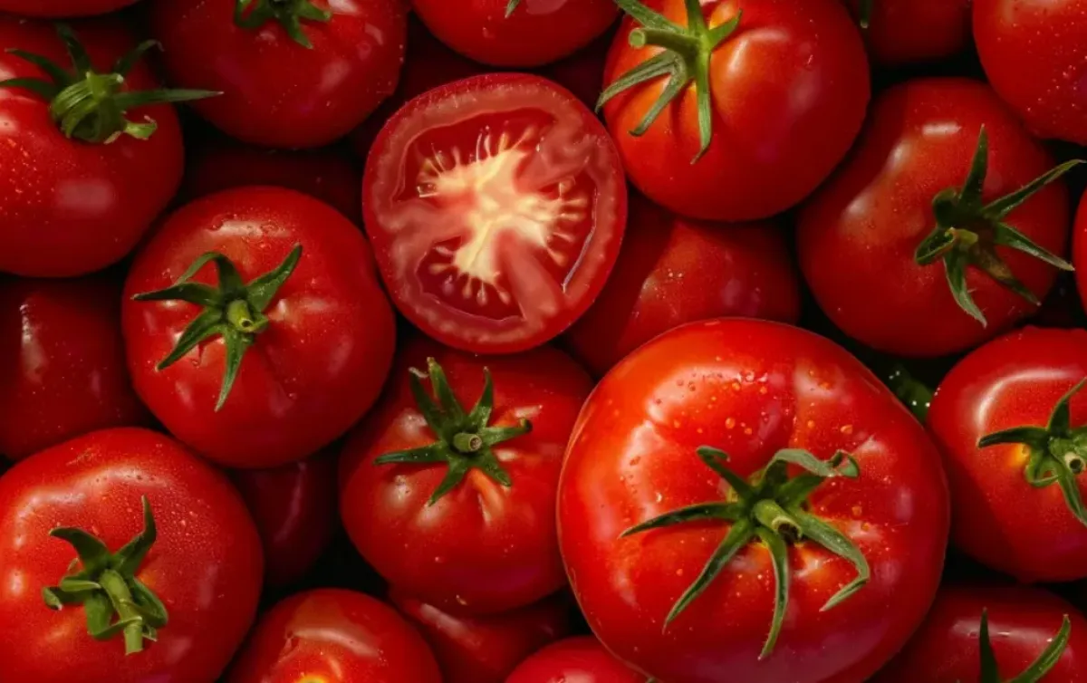 Especialista revela técnica para prolongar a durabilidade dos tomates ...