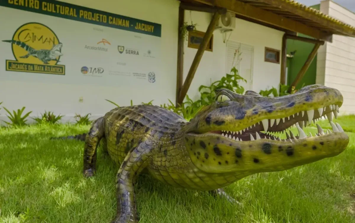 Projeto Caiman inaugura na Serra primeiro centro cultural do estado que ...