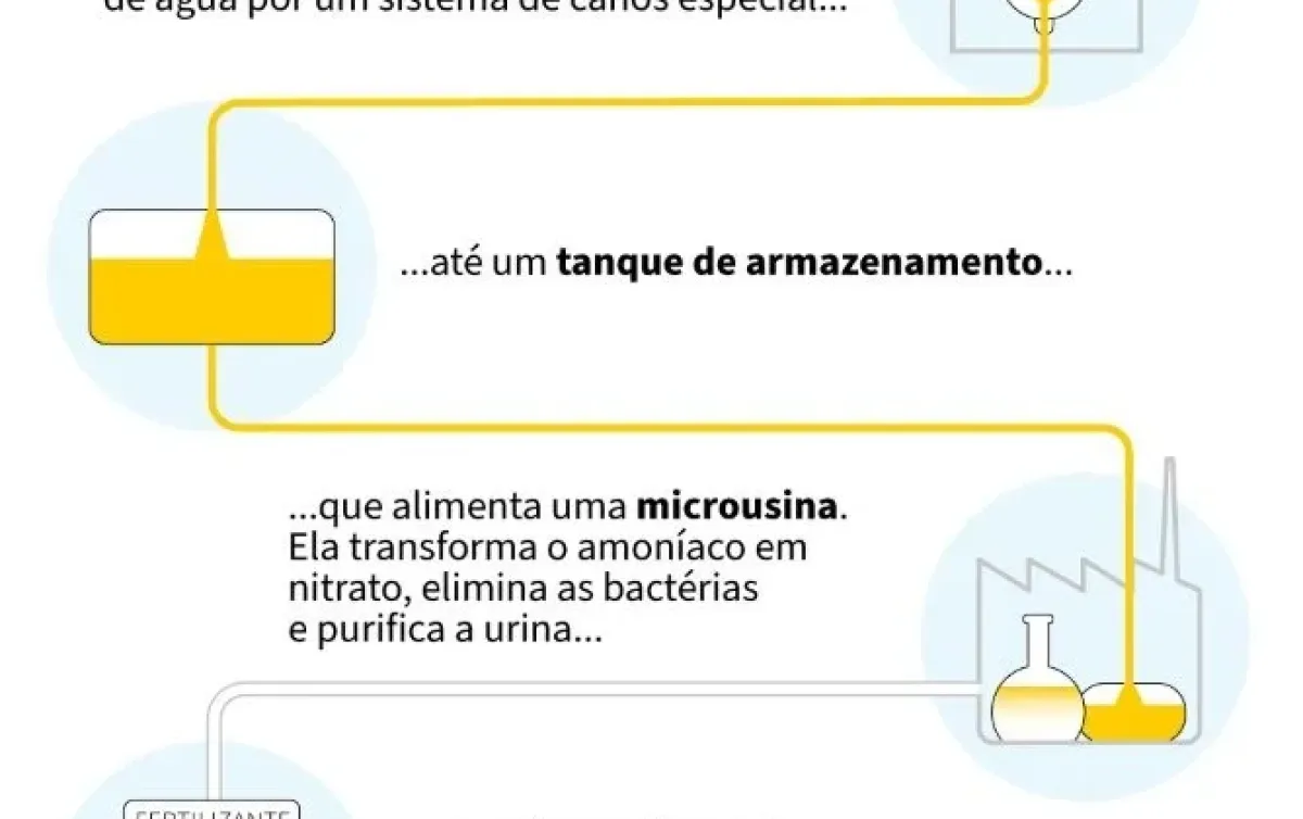 Urina humana, um fertilizante inesperado mas eficiente e menos poluente ...
